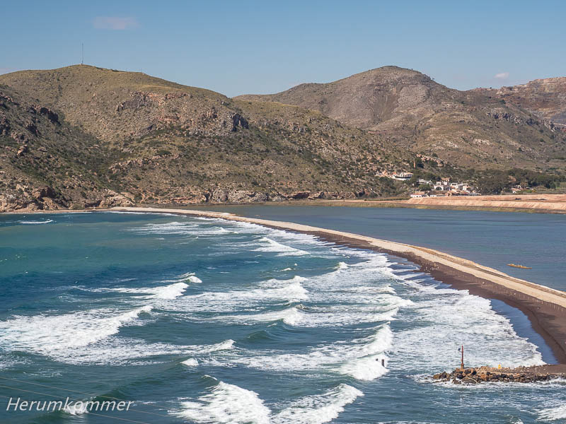 Punta Negra | Herumkommer und Frau Rumkommer